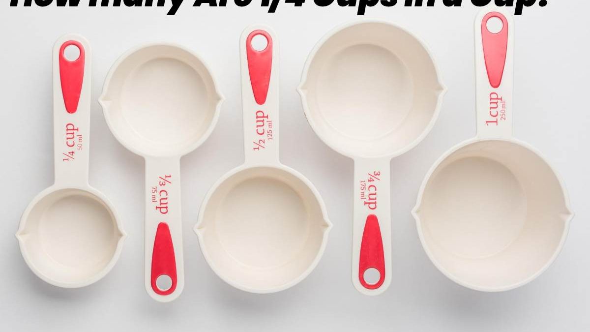 How Many Are 1 4 Cups In A Cup 